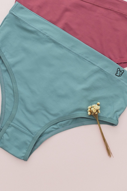 CALCINHA BASICA PALA DUPLA 0400106 - CALCINHA BASICA PALA DUPLA - Thays ...